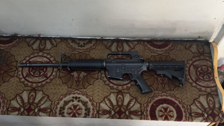 Original Bushmaster M4 223 Bore - pakarms.co